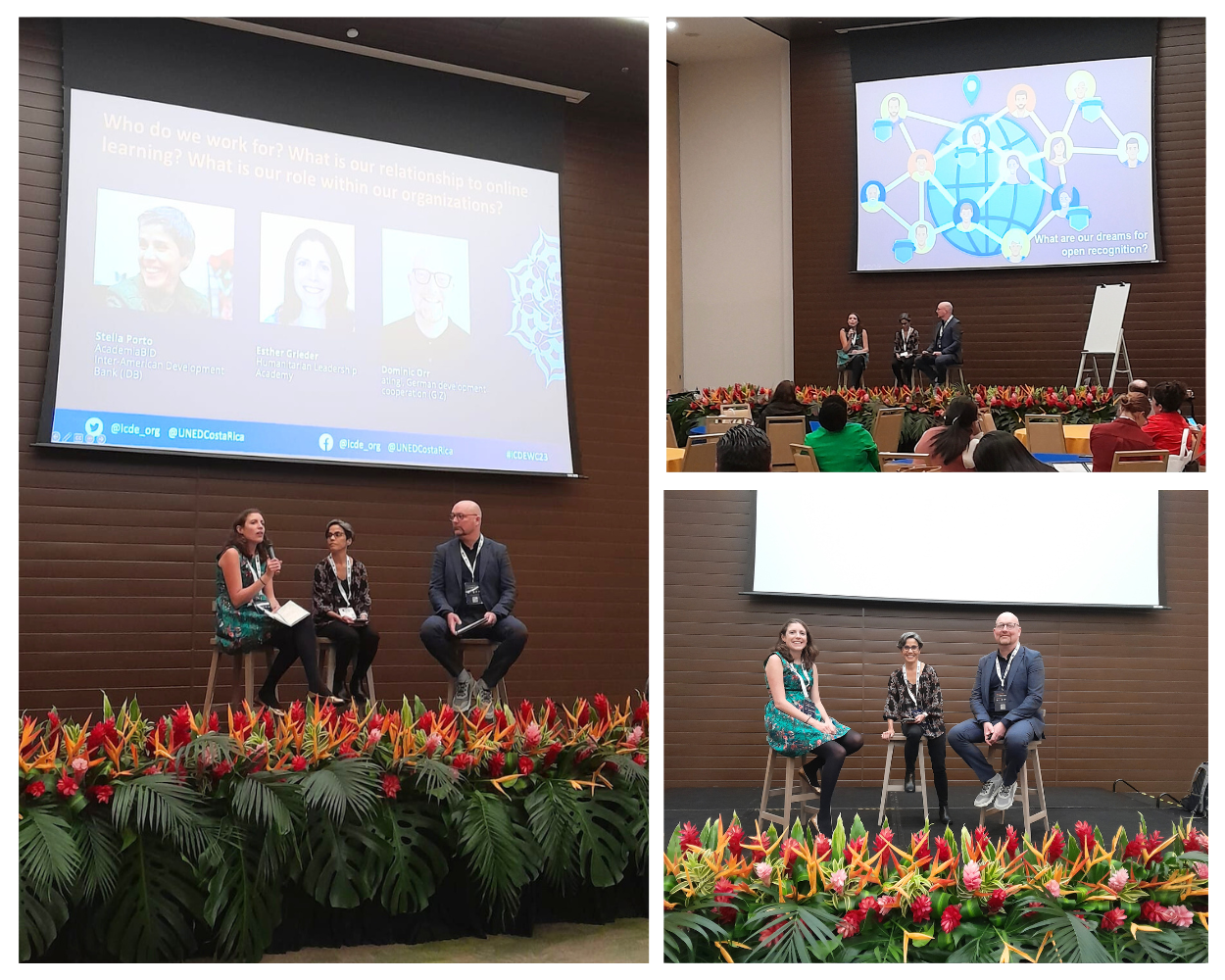 Skills for a fast-changing world: Reflections on the ICDE Conference in Costa Rica ...