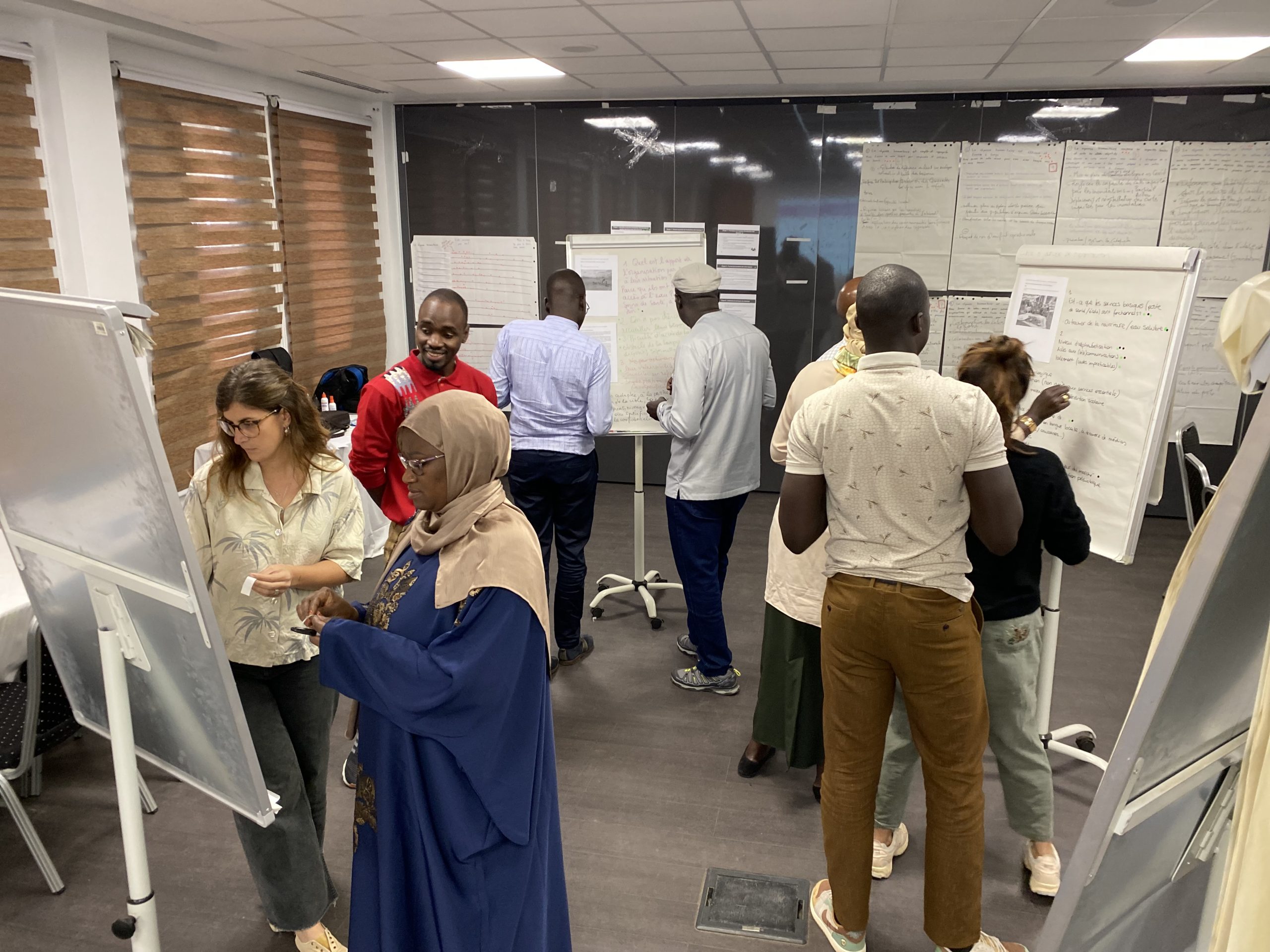 Strengthening capacity across West and Central Africa: Humanitarian ...